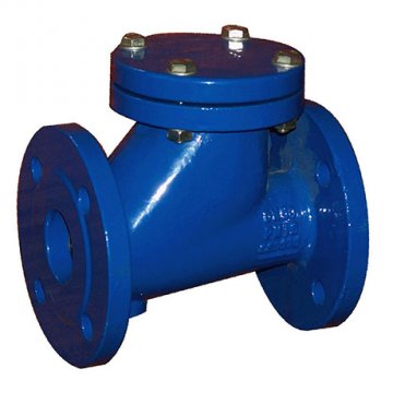 Types of Check Valves and Their Applications(Tables attached）