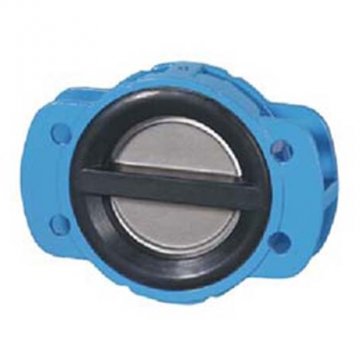 Rubber-Coated Cast iron Check Valve, Rubber Check Valve Manufacturer ...