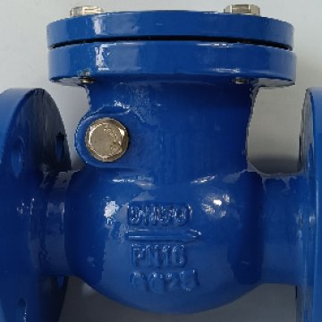 Check Valves in the Oil and Gas Industry: Challenges and Solutions